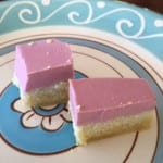 Low Carb Jelly Cheesecake Slice – Julia McPhee